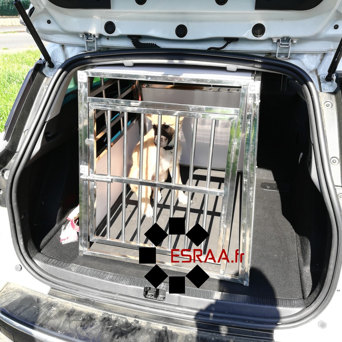 Cage Transport Chien SIMPLE / CAG-003 - Cage chien XXL, Cage chien ...